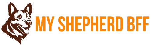 8 Month Old German Shepherd: Everything You Need To Know