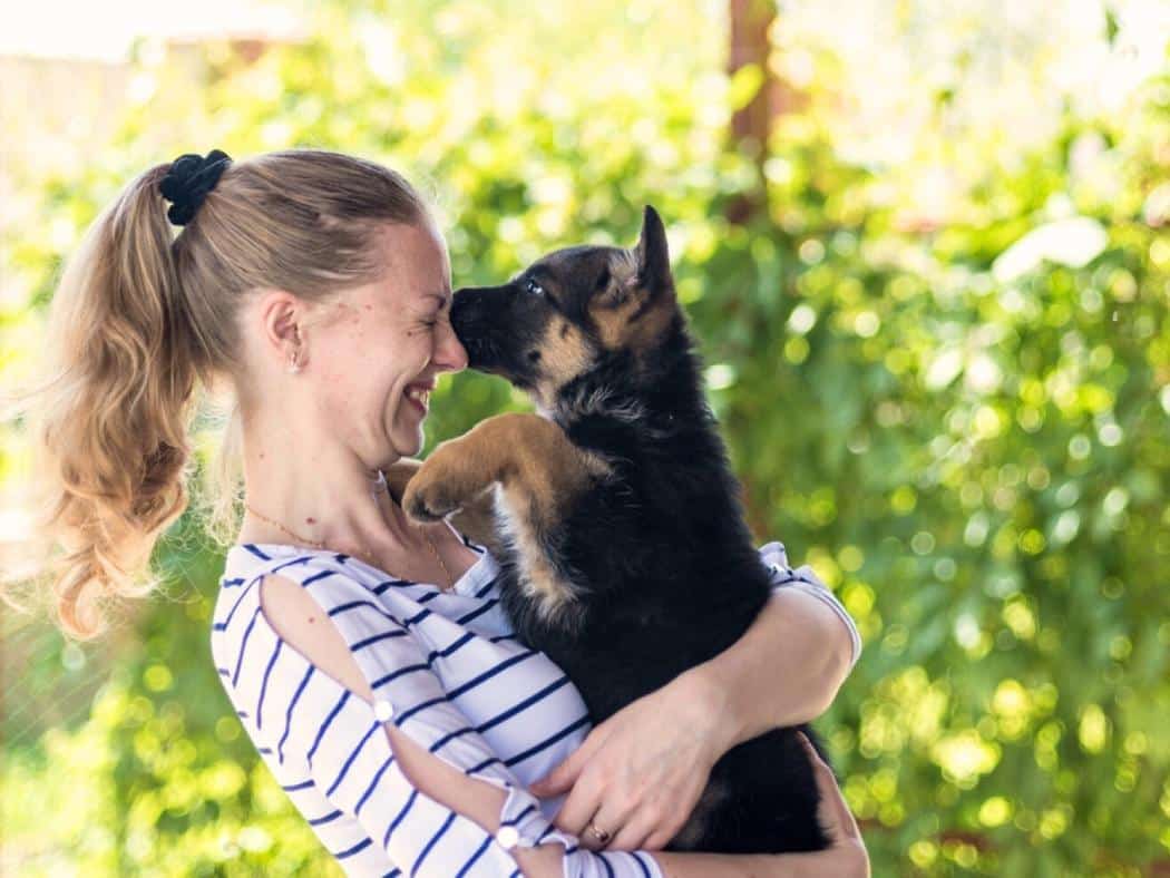 How To Socialize Your German Shepherd: 7 Practical Examples