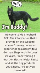 100 Cool German Shepherd Names That Are Modern, Bold, and Badass