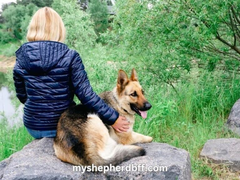 German Shepherd Behavior: Their Strange Quirks Explained