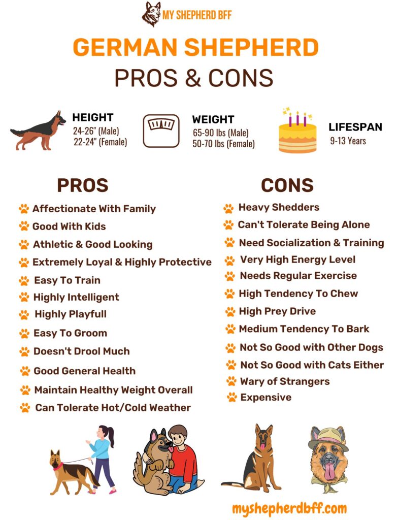 German Shepherd Pros and Cons: Is Owning One Right for You?