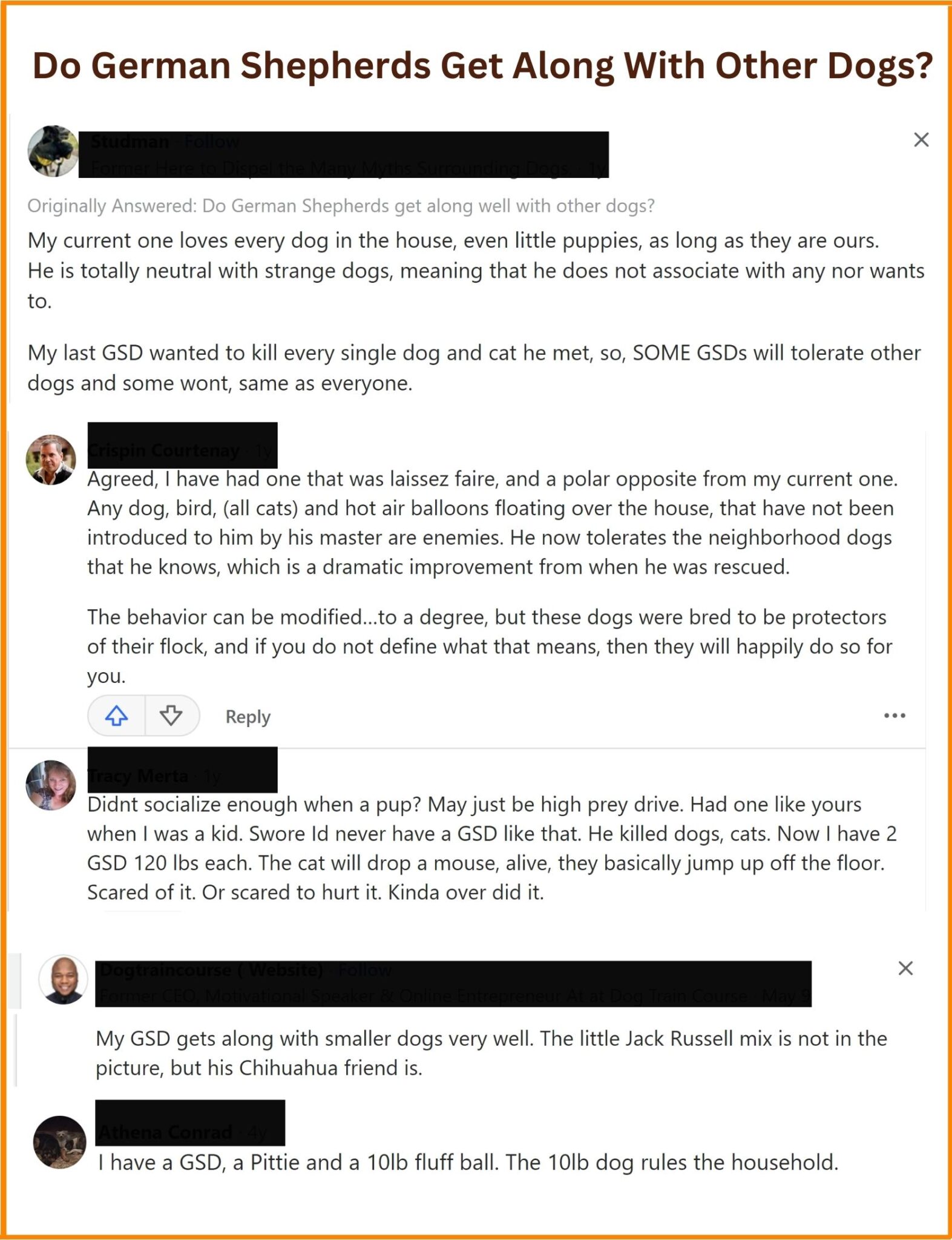 Are German Shepherds Good With Other Dogs?