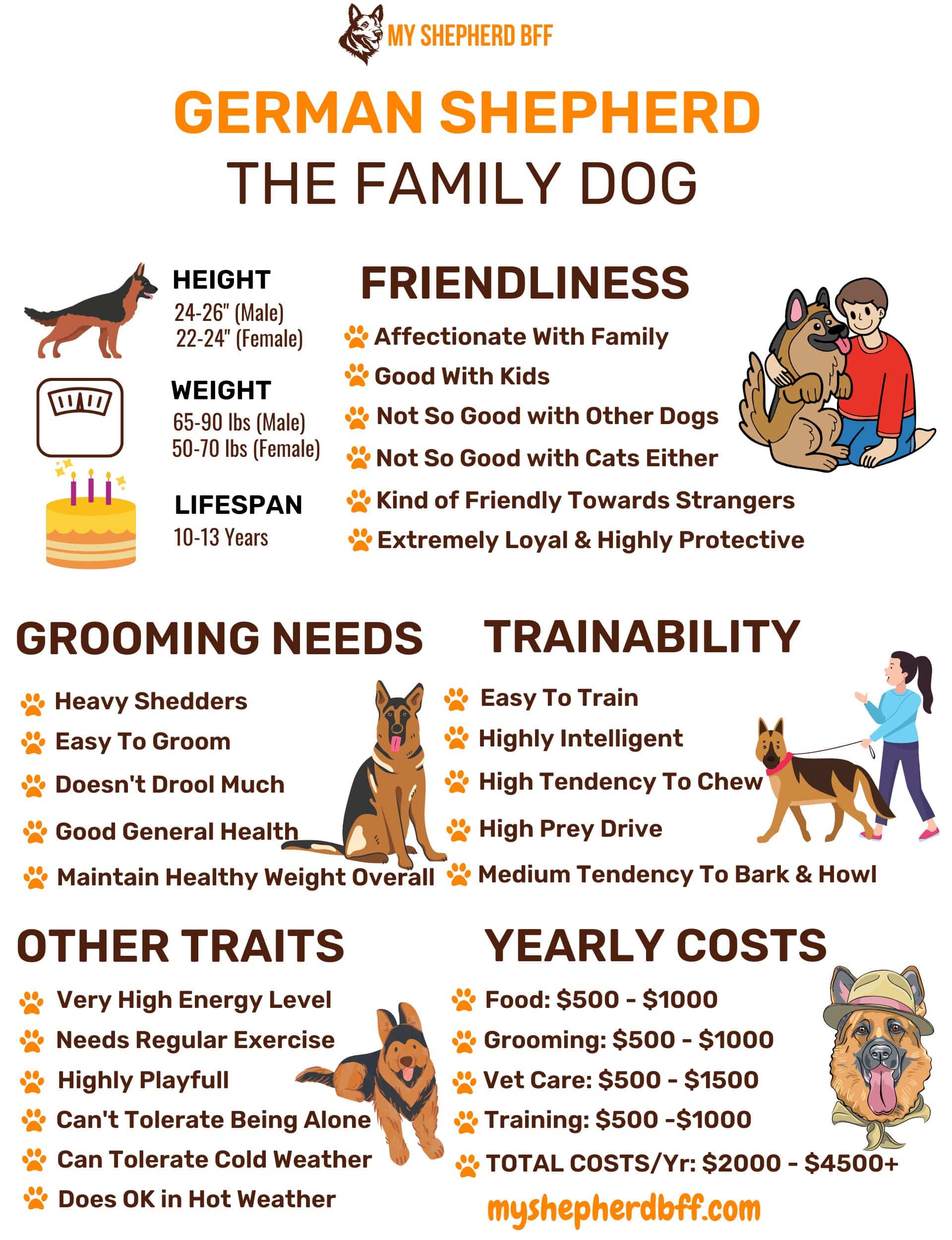 Are German Shepherds Good Family Dogs? My Expert Opinion