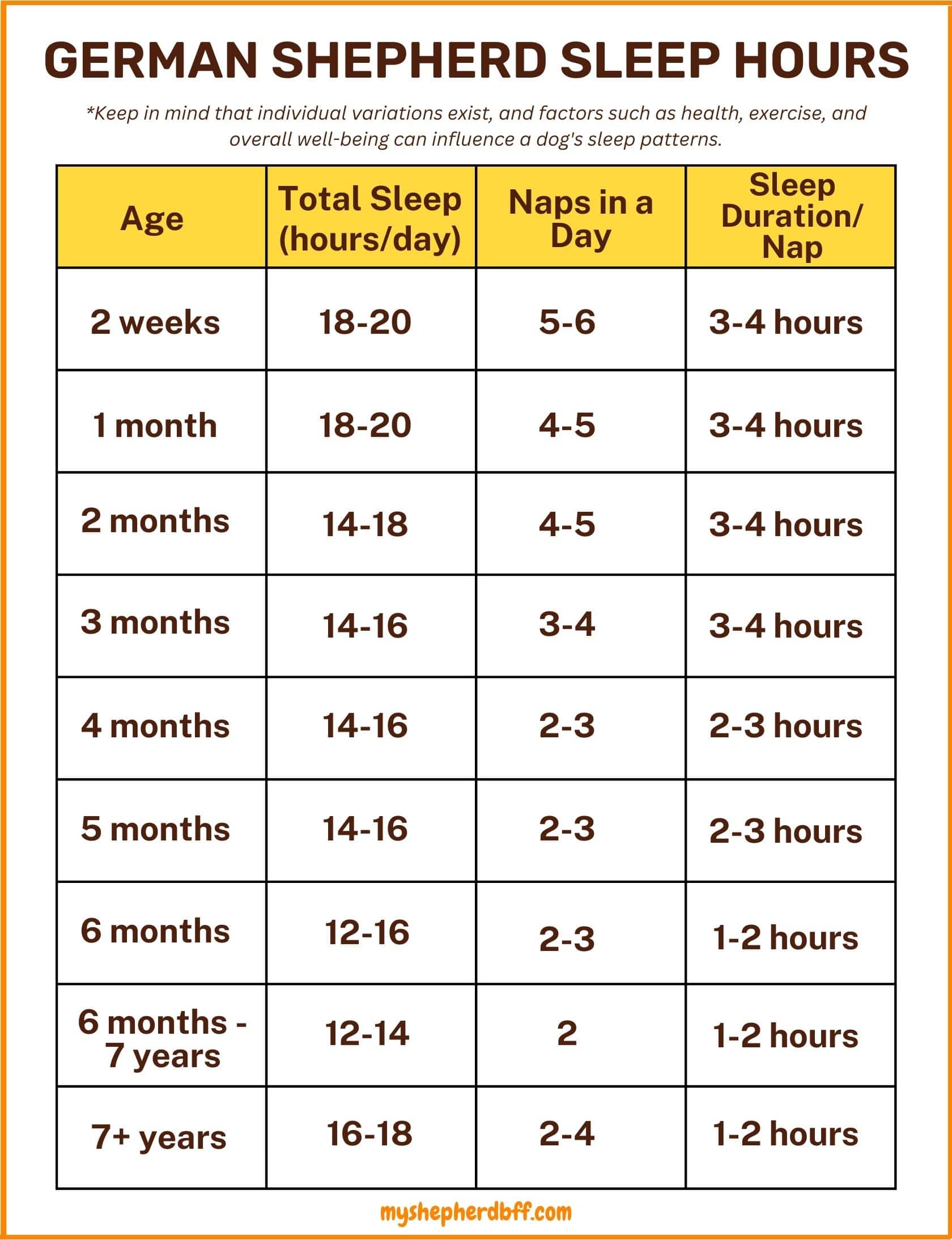 German Shepherd Sleep Habits From Puppyhood to Senior Years