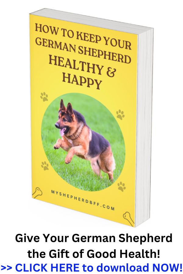 10 Reasons German Shepherds Whine So Much & How To Stop It